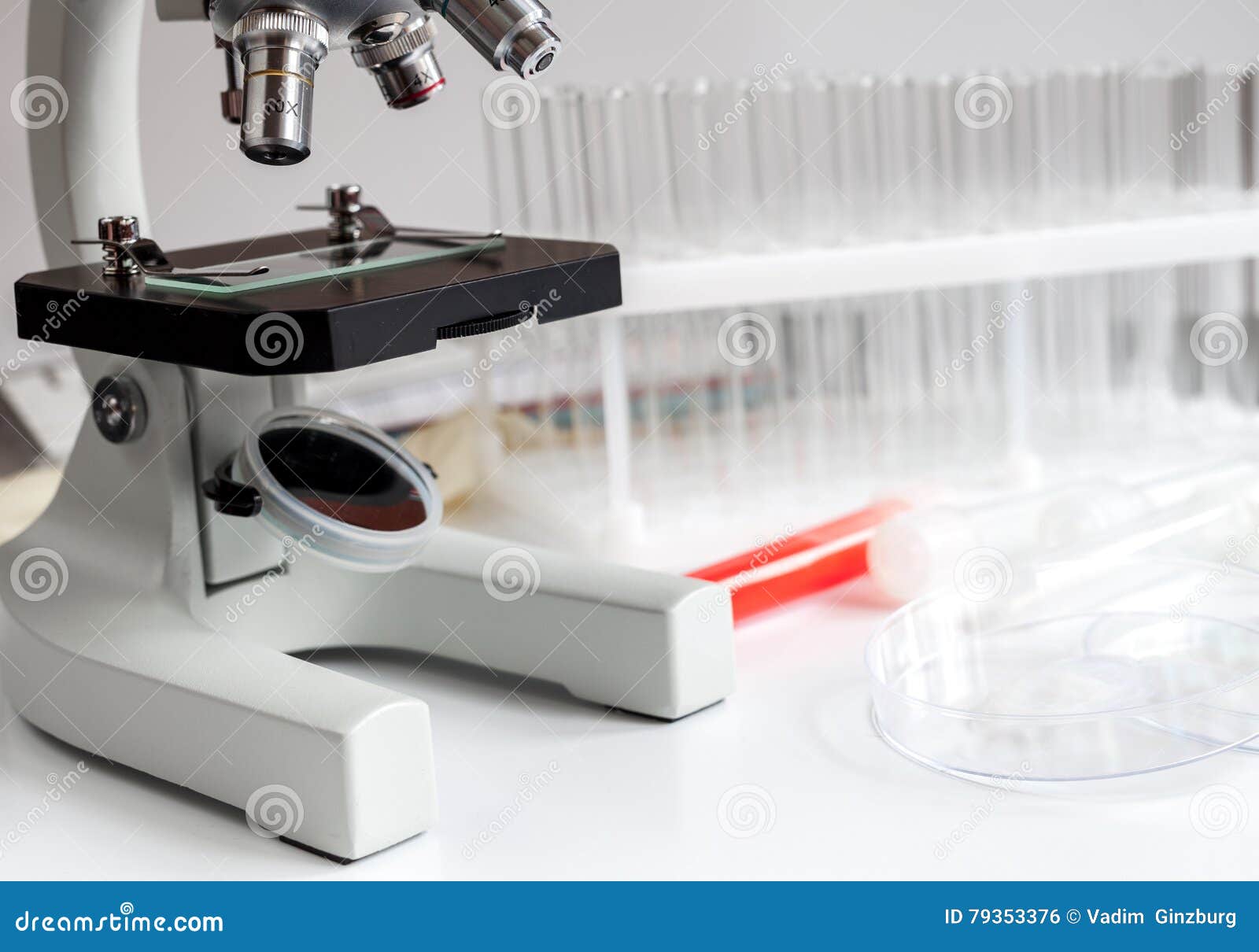 Microscope Slide Glass Blood Test Close Up in Laboratory Stock Photo ...