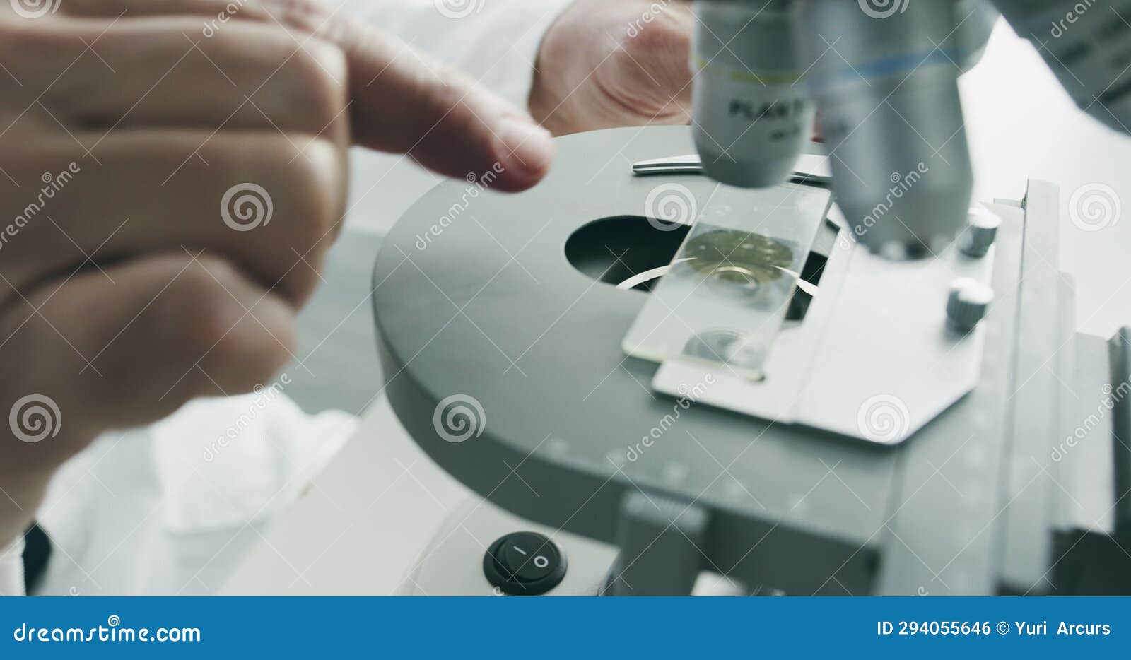 Microscope Slide, Hands and Scientist in Laboratory for Research, Study ...