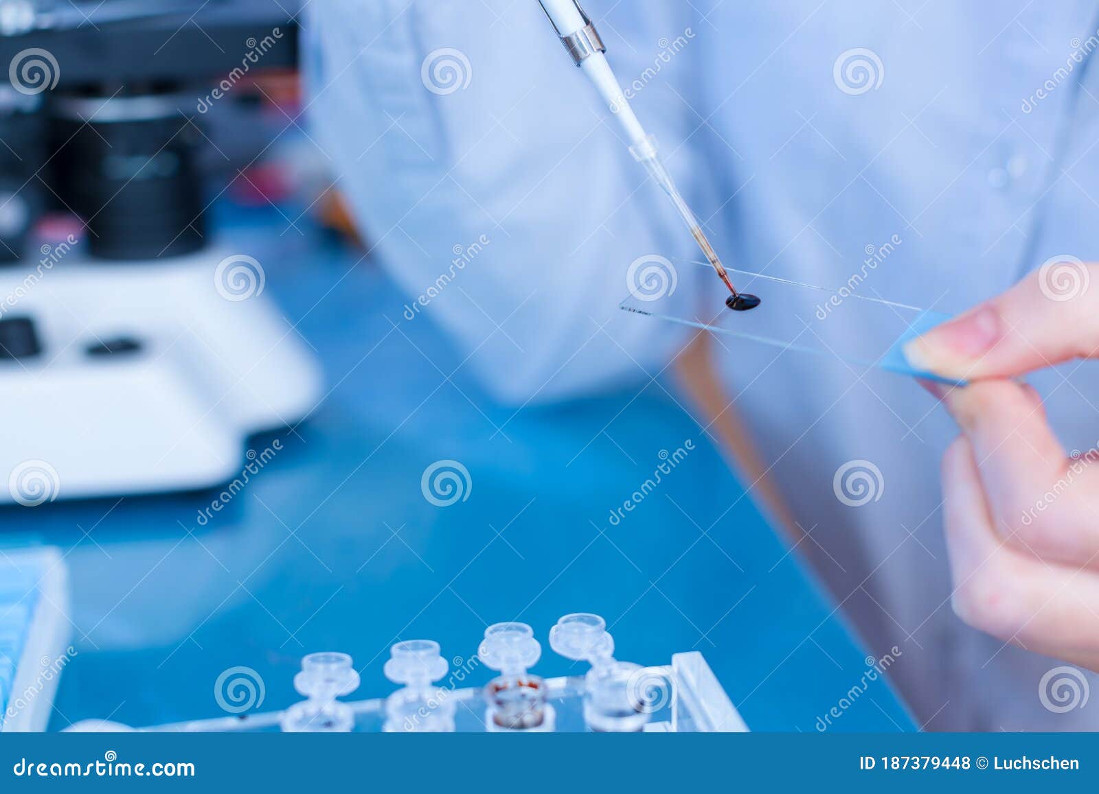 Microscope Slide in the Laboratory Stock Photo - Image of chemist ...