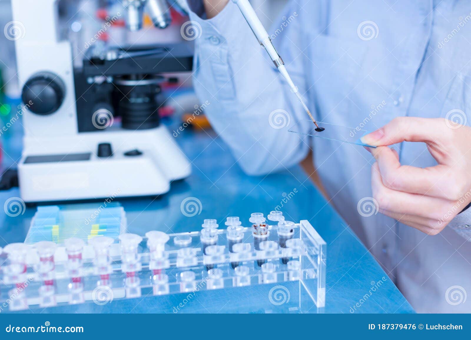 Microscope Slide in the Laboratory Stock Photo - Image of glove ...