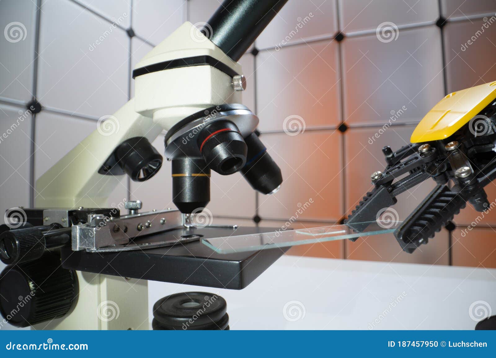 Microscope Slide in Robot Arm and Science Microscope Stock Photo ...