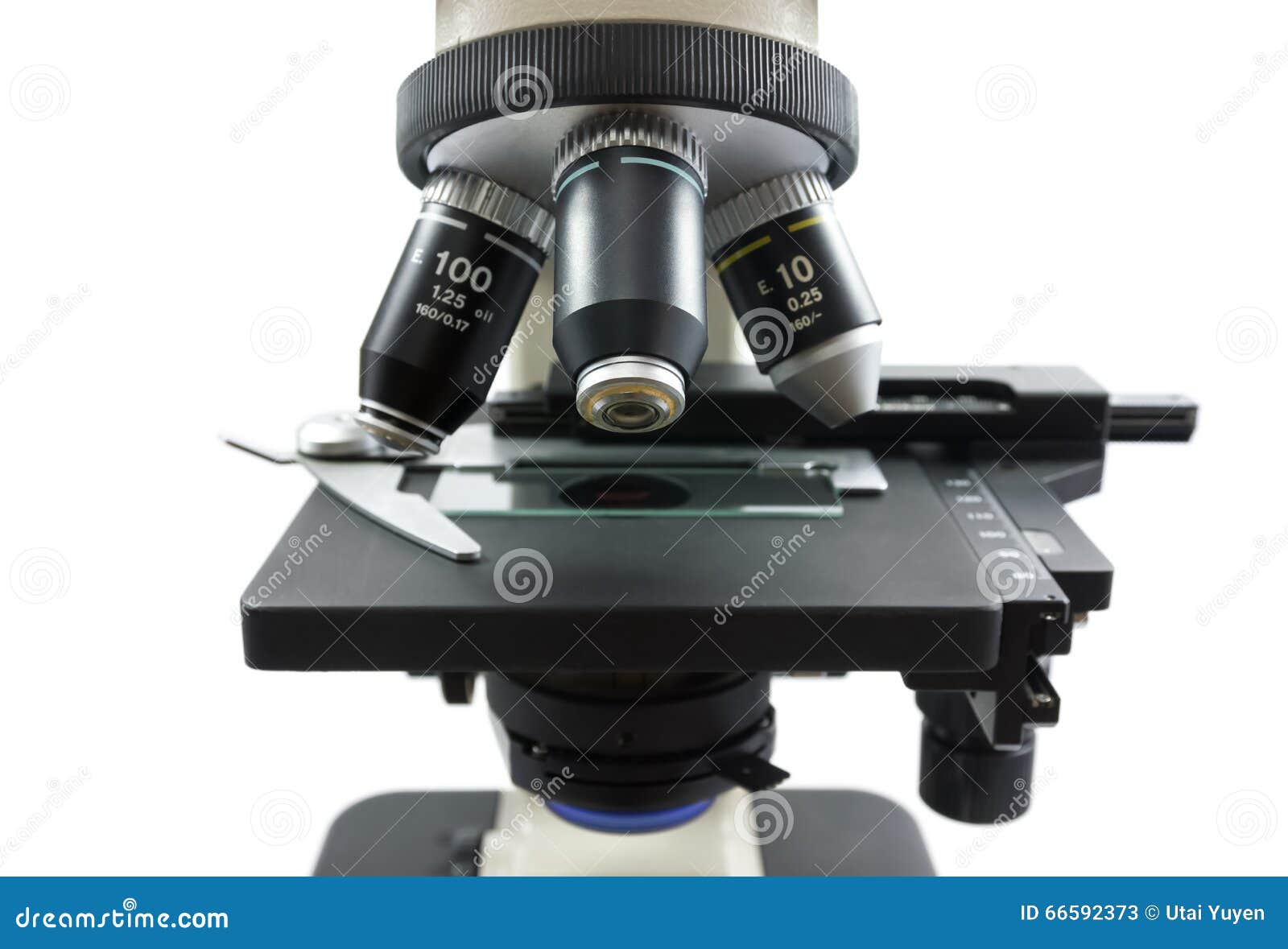 Microscope Slide Sample Medical Research Stock Image - Image of ...