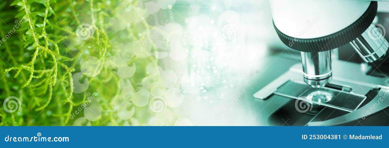 Microscope and Slide in Soft White Blue Light Medical Science Lab and ...