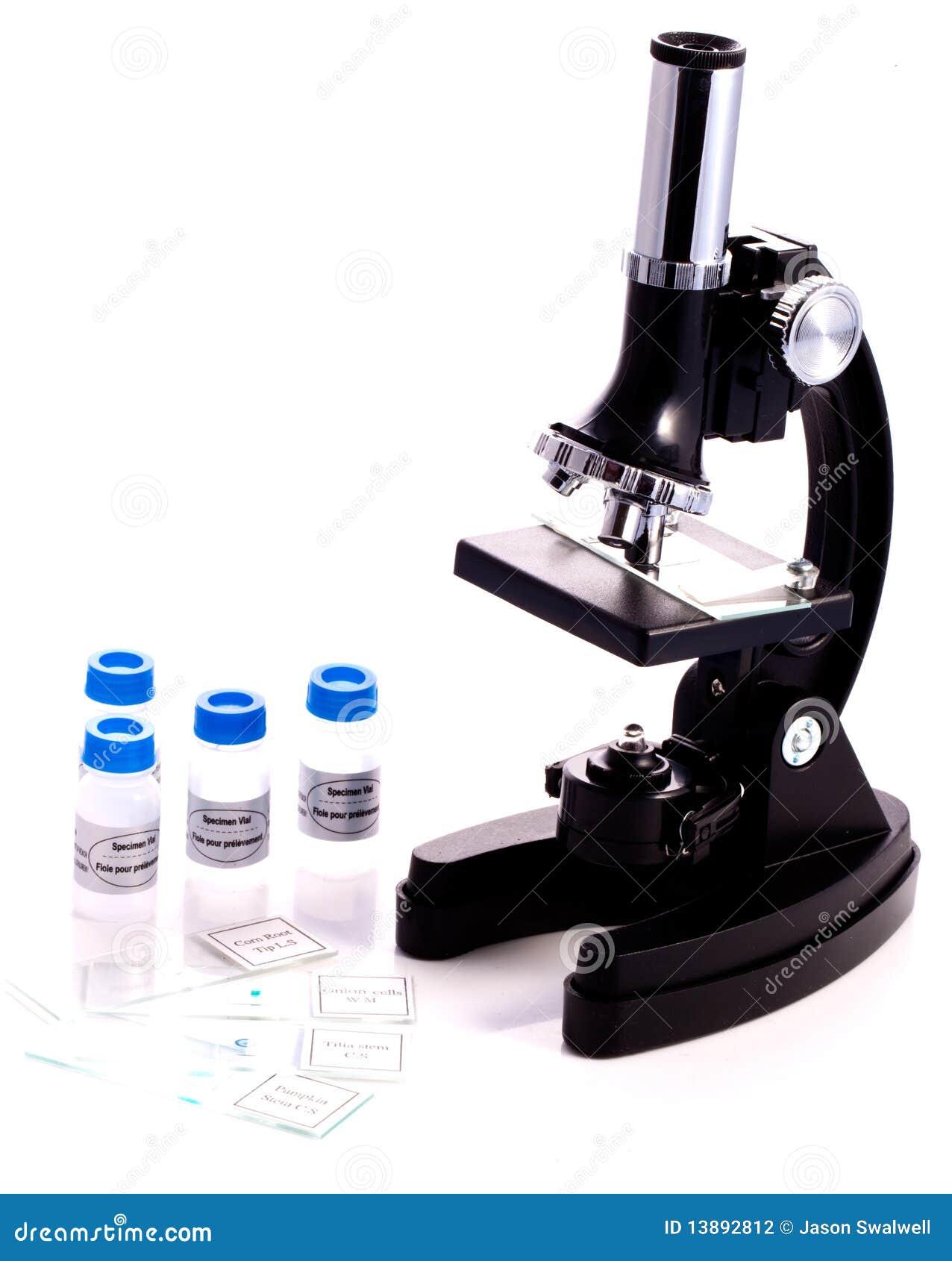 Microscope and Specimen Jars Stock Photo - Image of gray, medical: 13892812