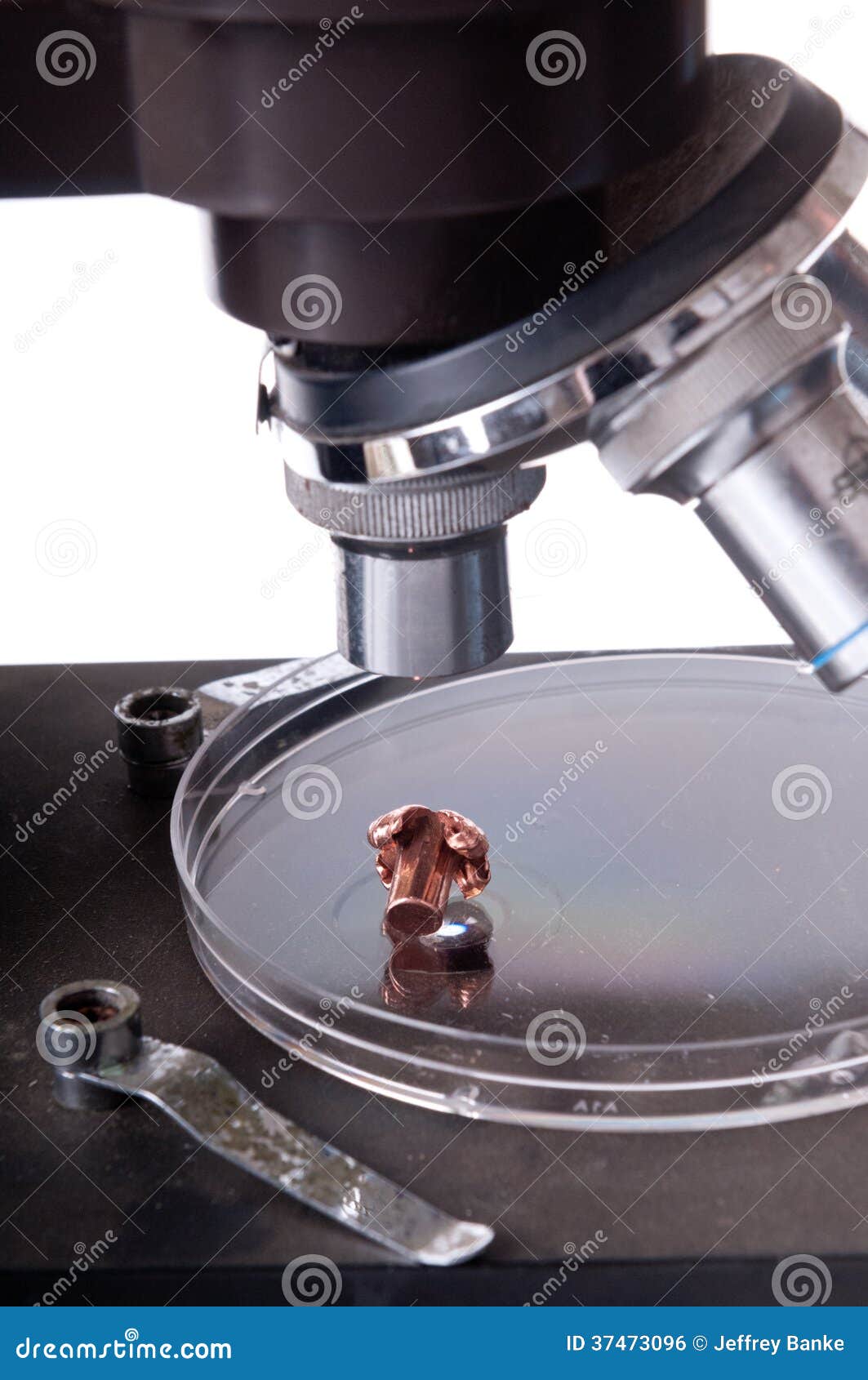 Microscope study stock photo. Image of discovery, inquiry - 37473096