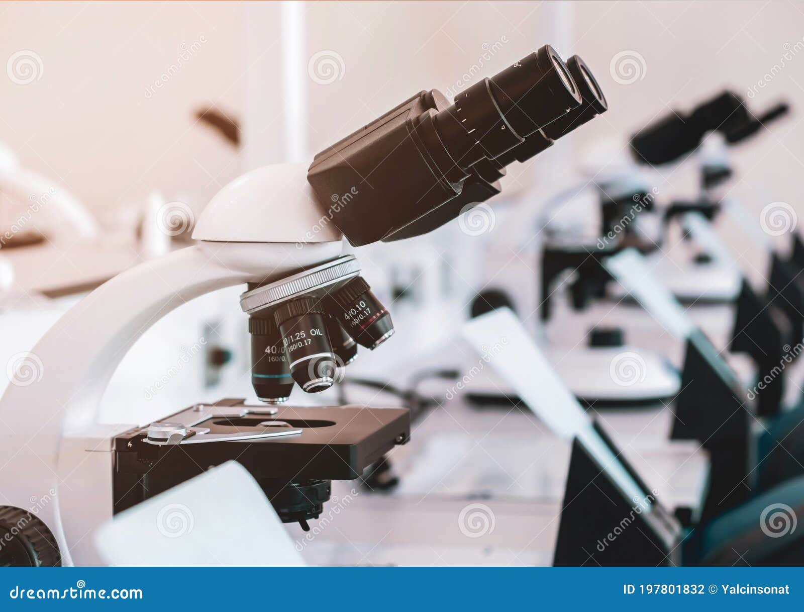 Microscope on Table in the Laboratory. Line of Microscopes on Stock ...