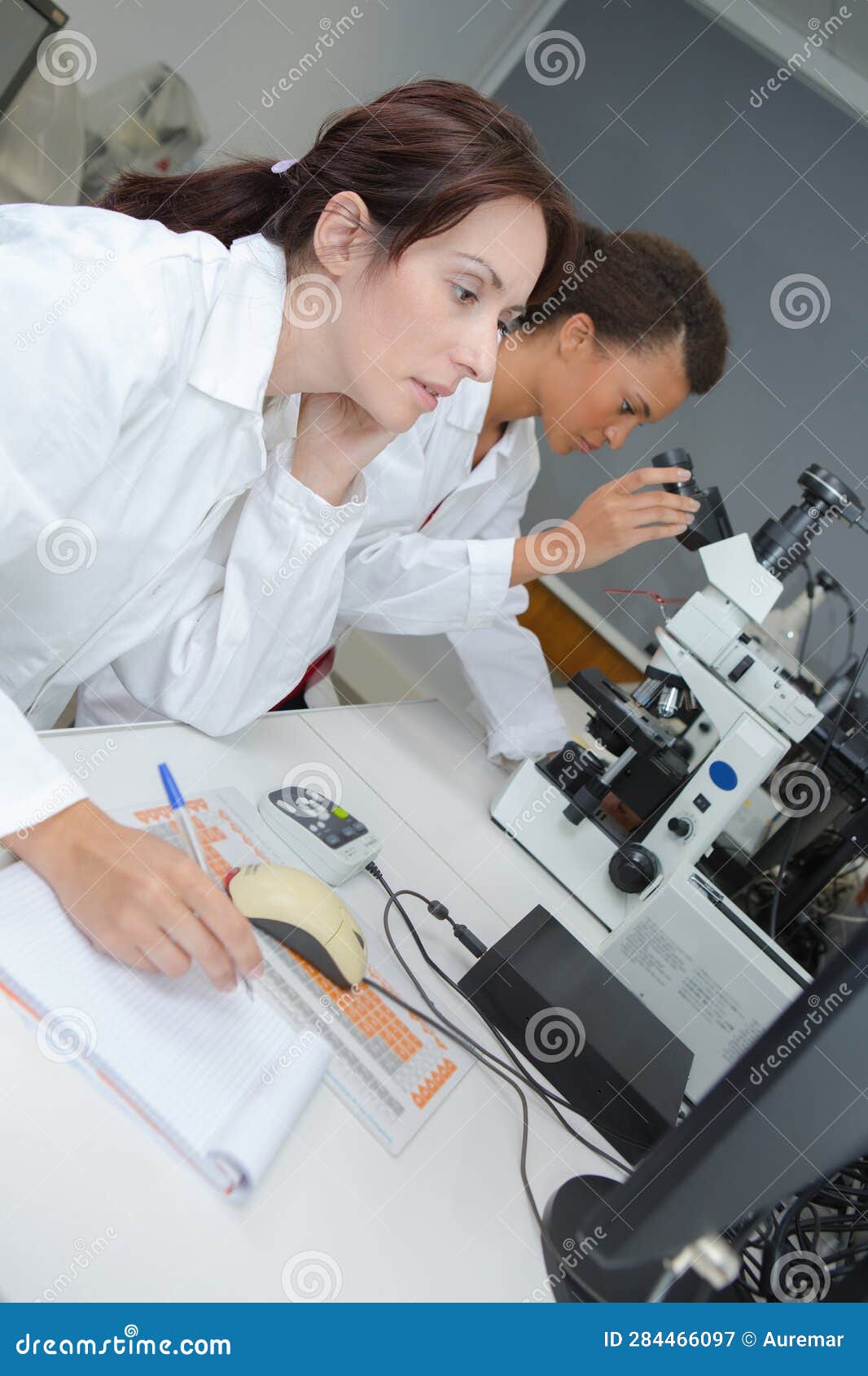 Microscope Users Stock Photos - Free & Royalty-Free Stock Photos from ...