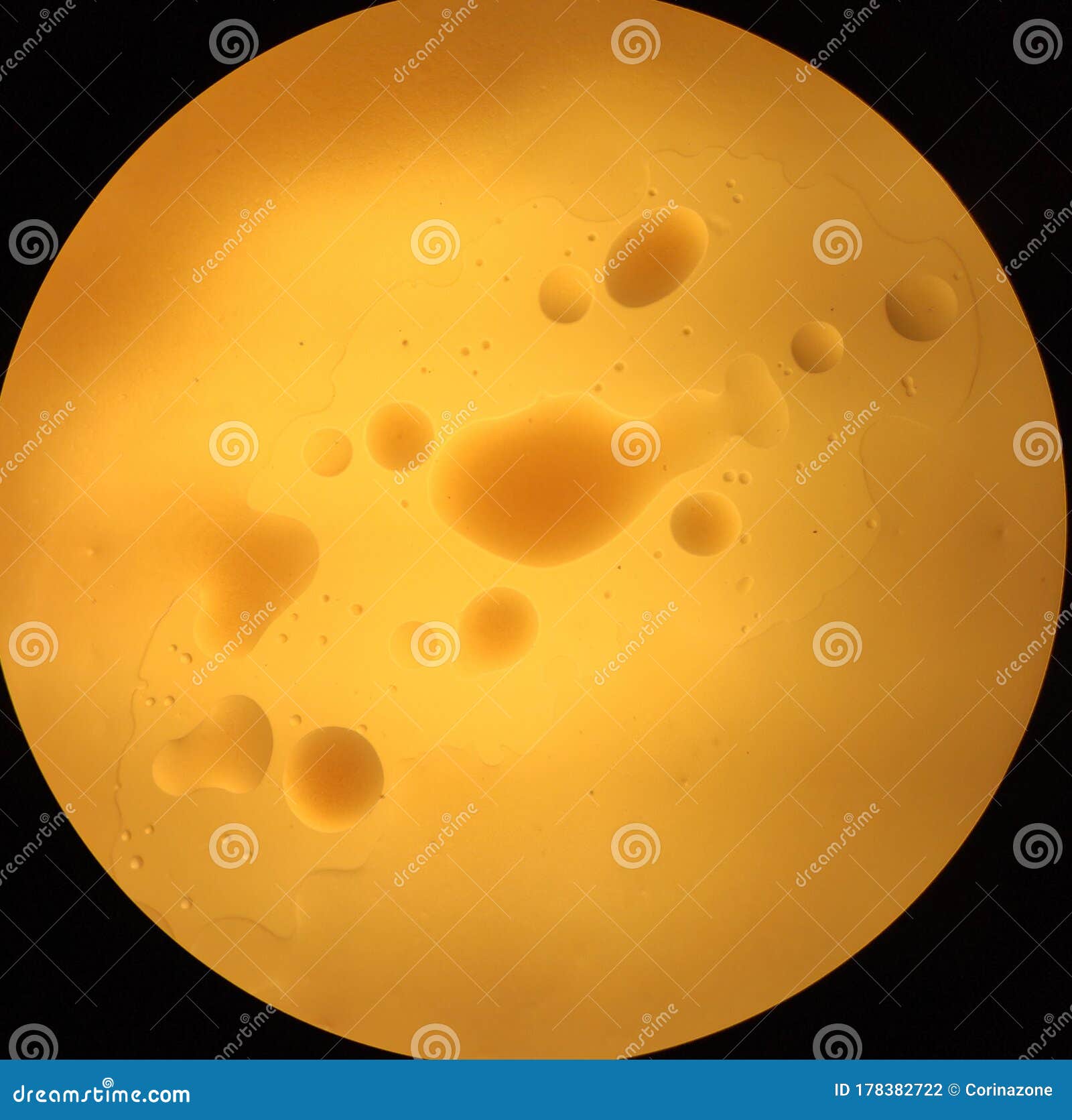 Bacterial Colonies Under the Microscope Stock Photo - Image of colony ...