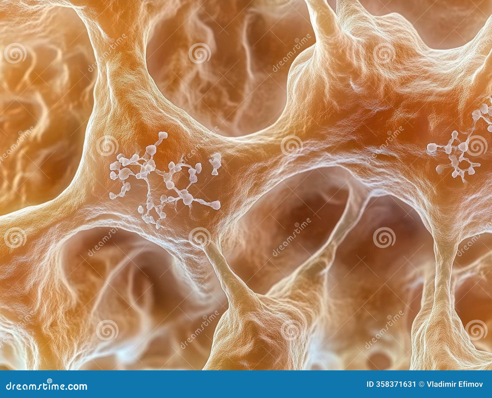 Microscope View of Cancer Cell Cytoplasm Stock Image - Image of system ...