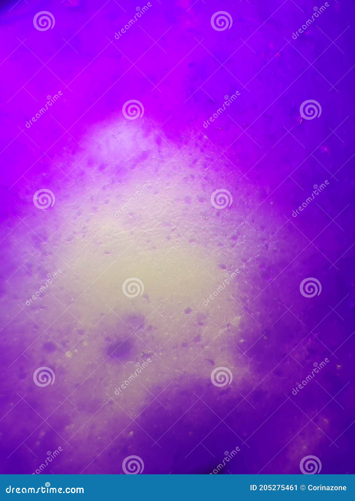 The Brain of a Pig Under the Microscope Stock Image - Image of cell ...