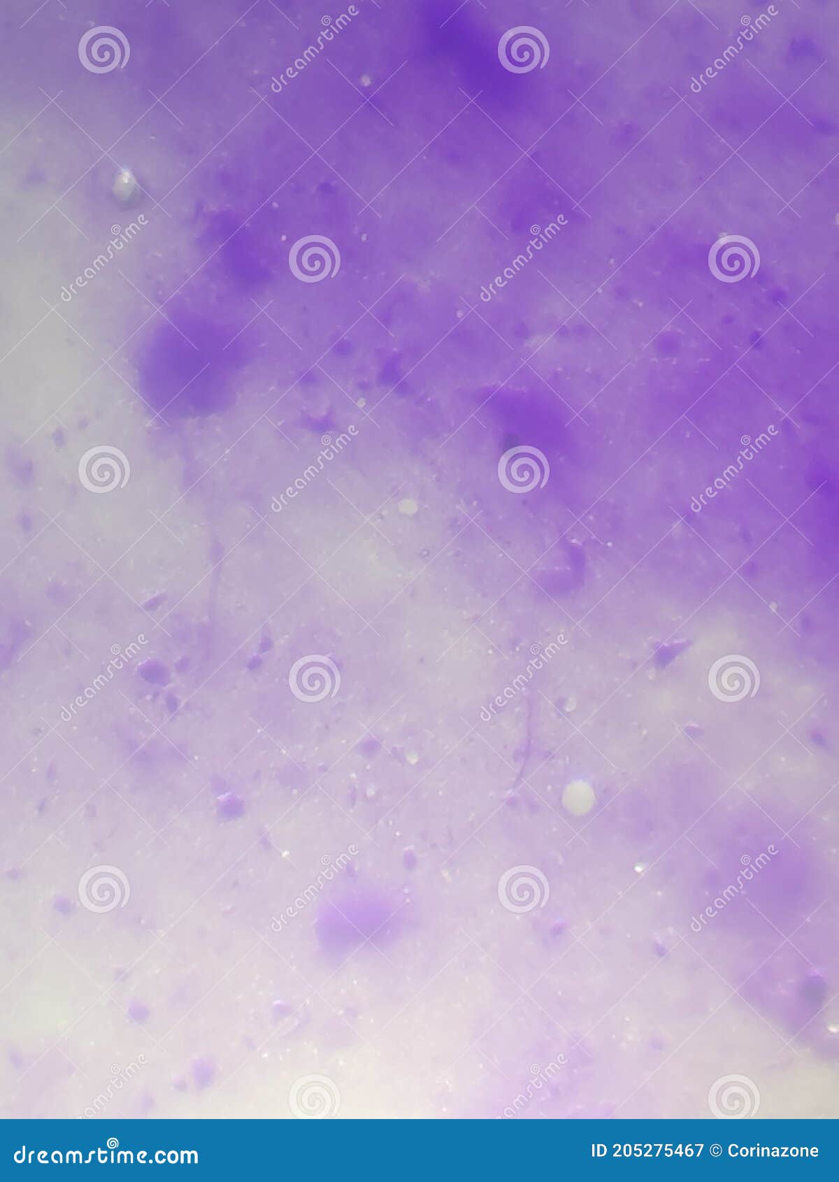 The Brain of a Pig Under the Microscope Stock Image - Image of meat ...