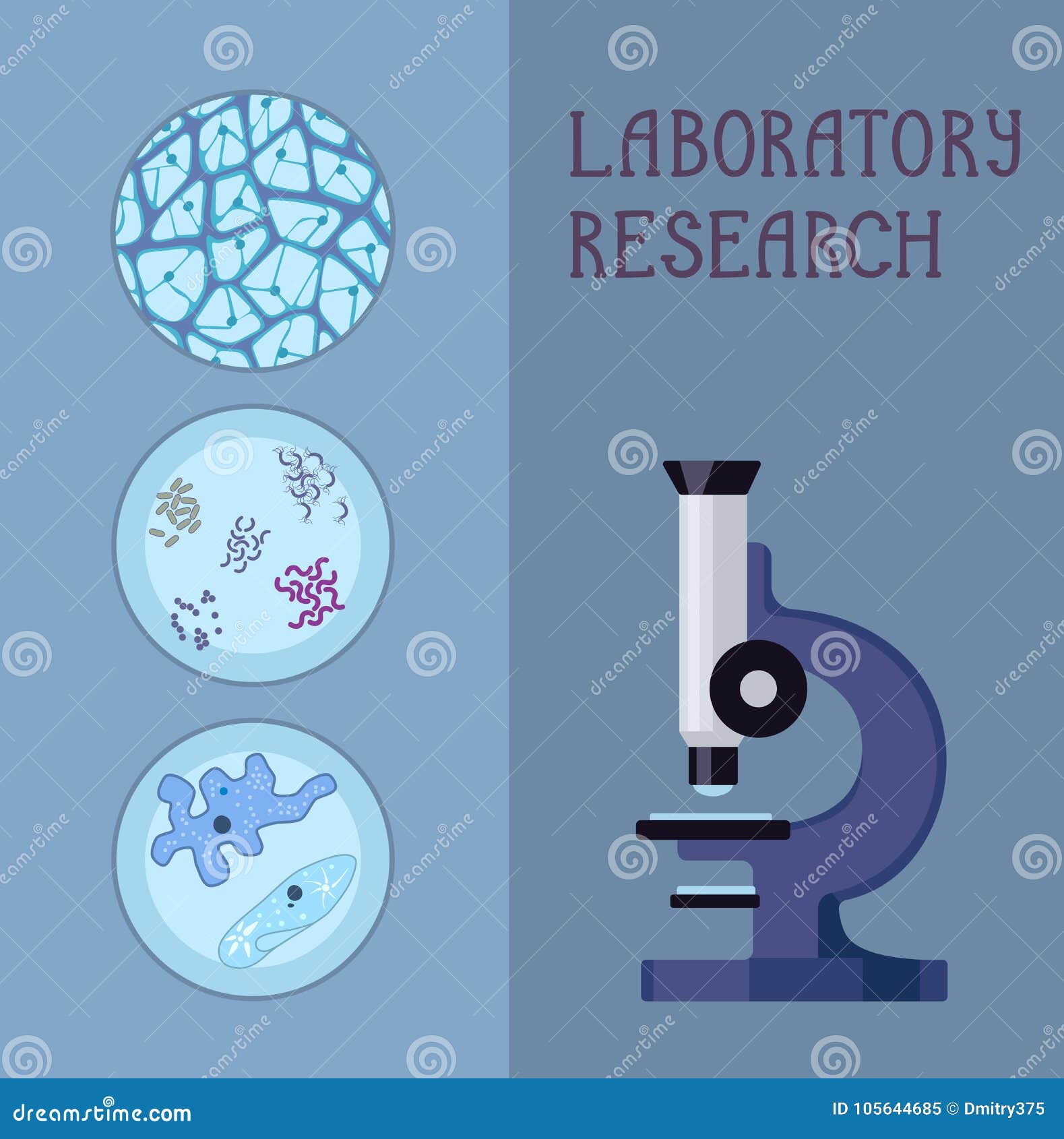 Microscope and Zoom Views of Bacteria and Cells Stock Vector ...