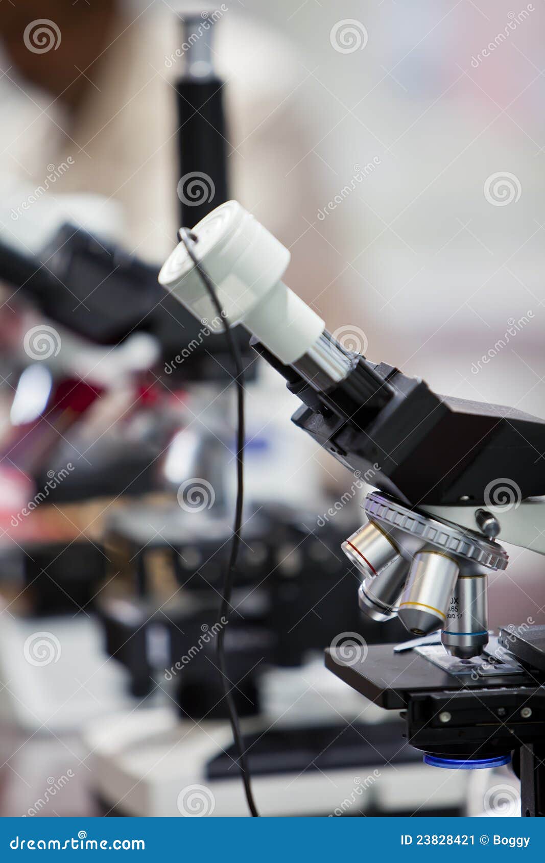 Microscopia imagem de stock. Imagem de desenvolvimento - 23828421