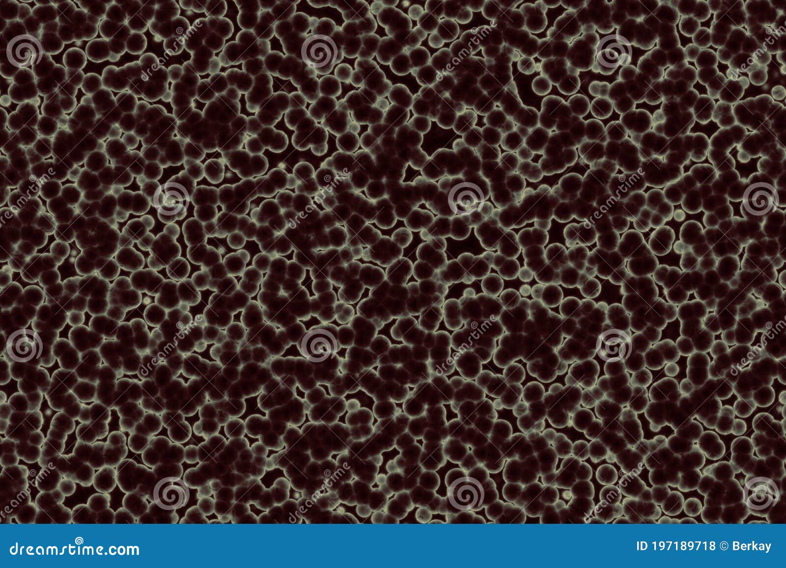 Microscopic Bacterium and Bacillus Bacteria Micro-organisms Stock Photo ...