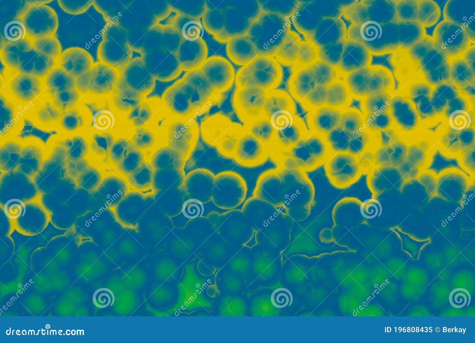 Microscopic Bacterium and Bacillus Bacteria Micro-organisms Stock Image ...