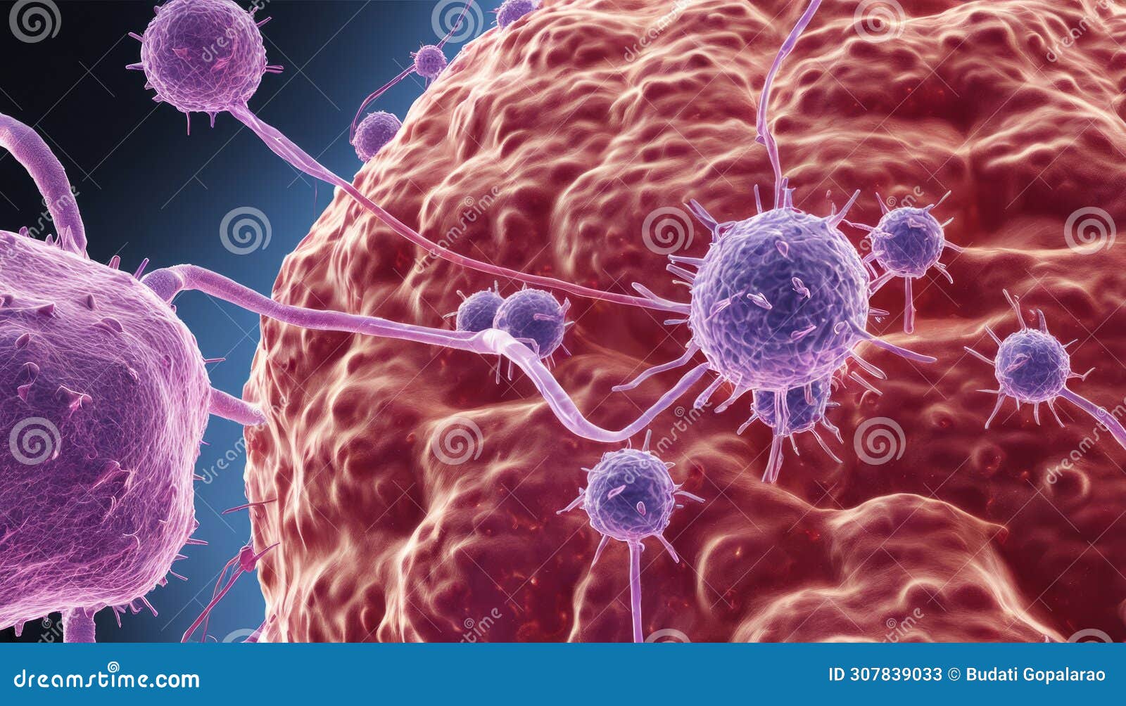 Microscopic Battle - Viruses Invading a Cell Stock Illustration ...