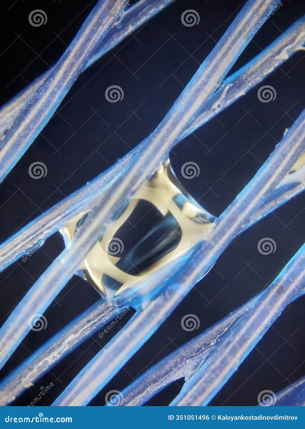 Microscopic Beauty: Bath Sponge with Water Drop Stock Photo - Image of ...