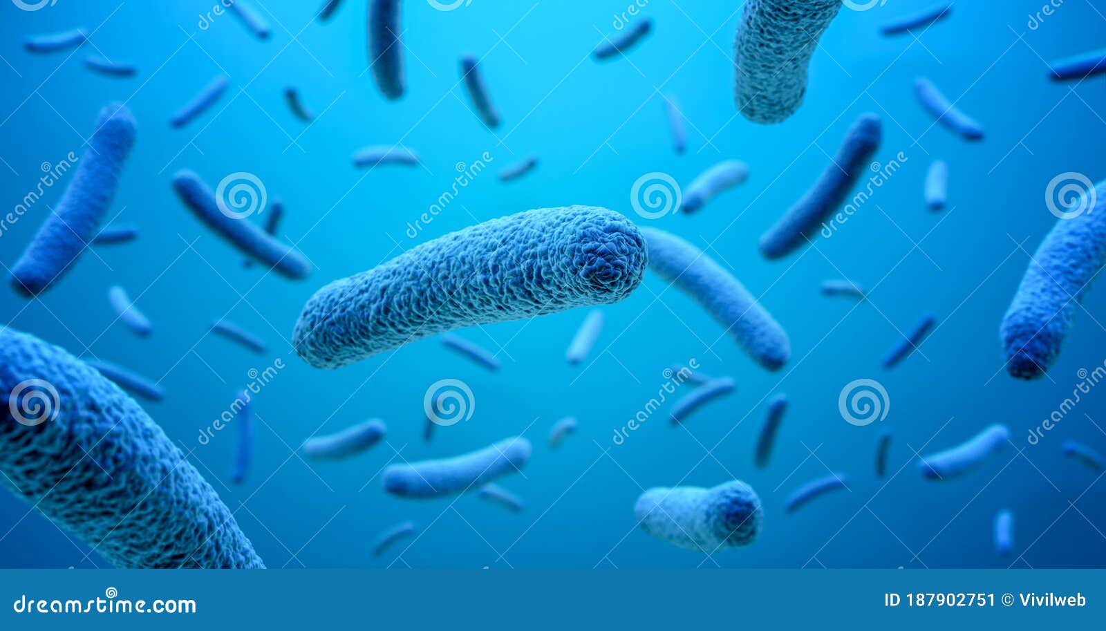 Blue Bacteria Covered By Cilia. Biology Microorganism Under Microscope ...