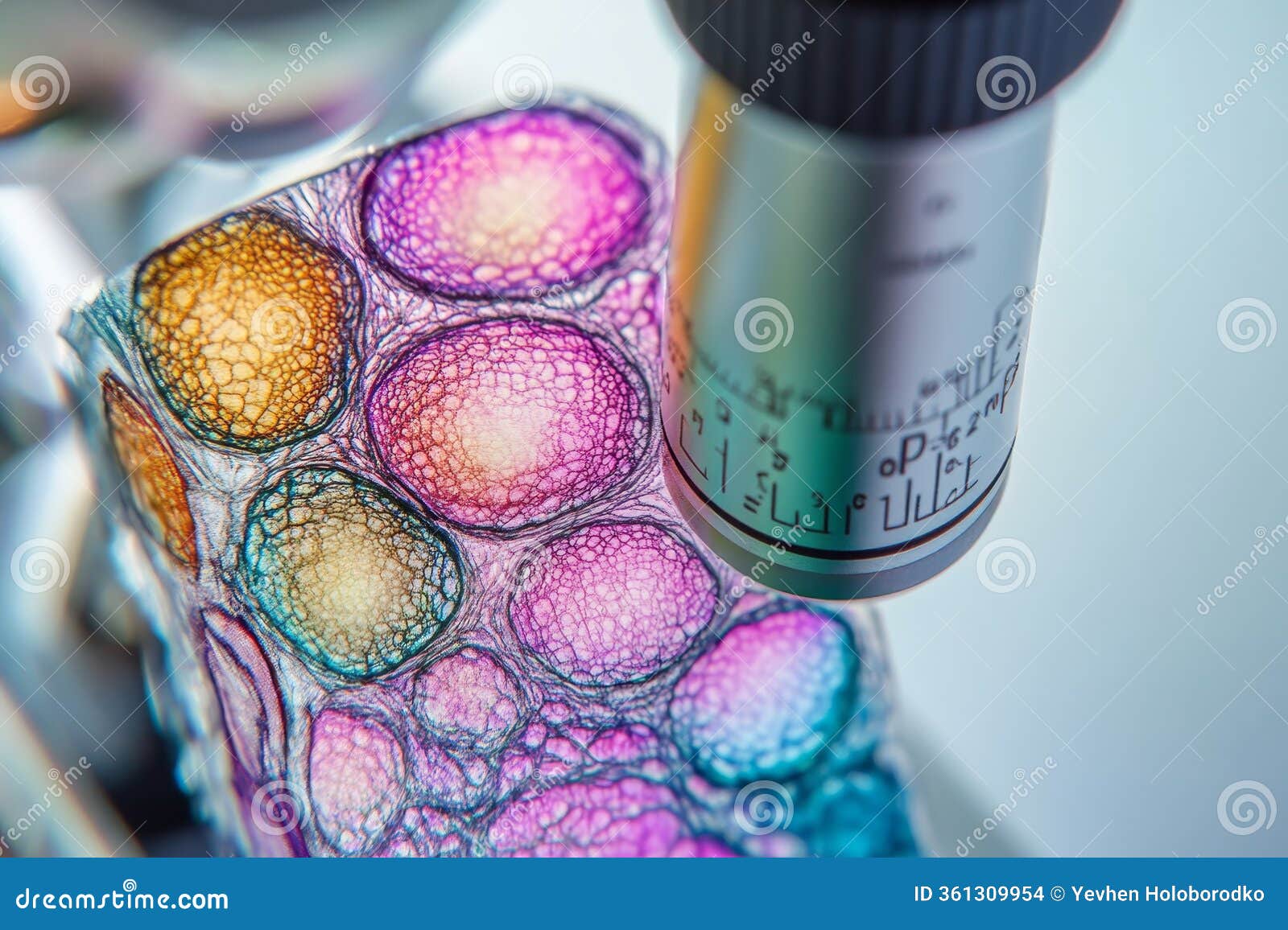 Microscopic Examination In The Laboratory Stock Photo | CartoonDealer ...