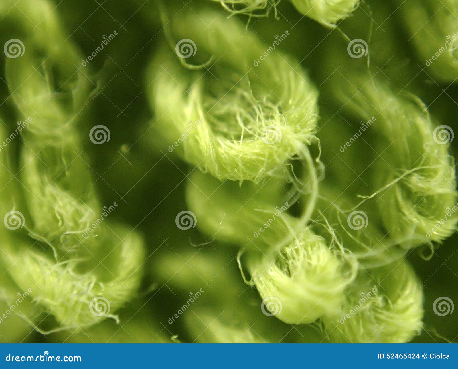 Microscopic fabric texture stock photo. Image of clothing - 52465424