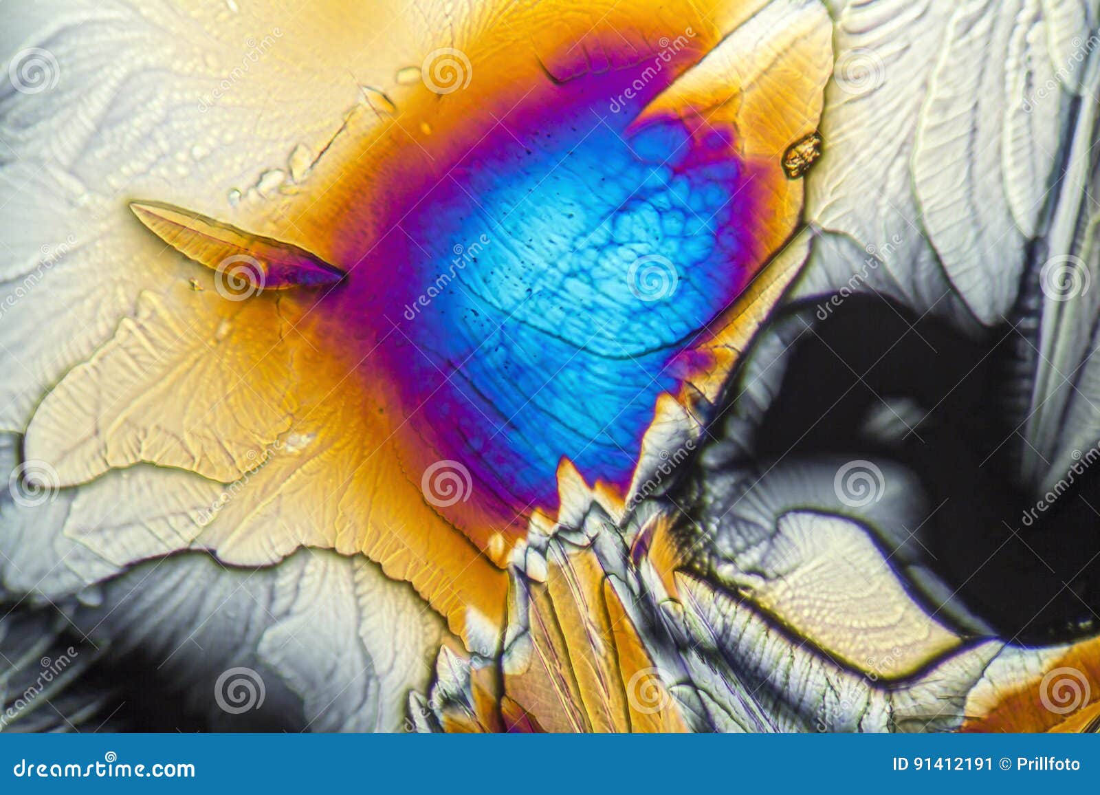 Microscopic Galactose Crystals Stock Image - Image of translucent ...