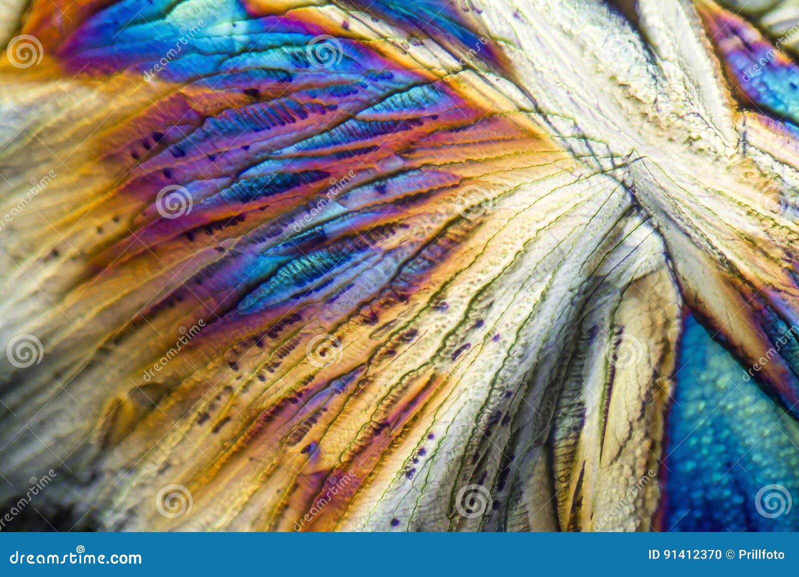 Microscopic Galactose Crystals Stock Photo - Image of countryside ...