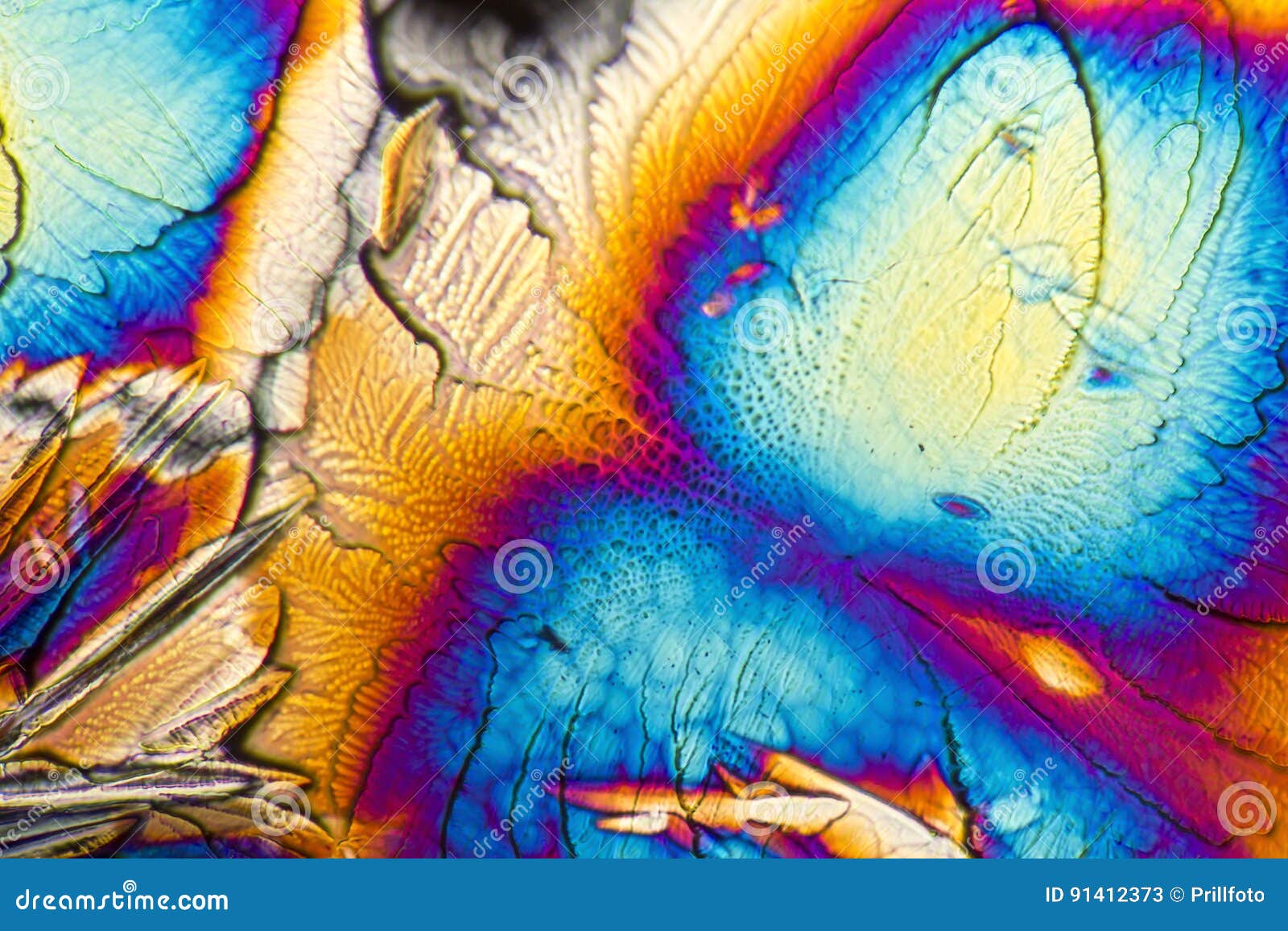 Microscopic Galactose Crystals Stock Image - Image of structure ...