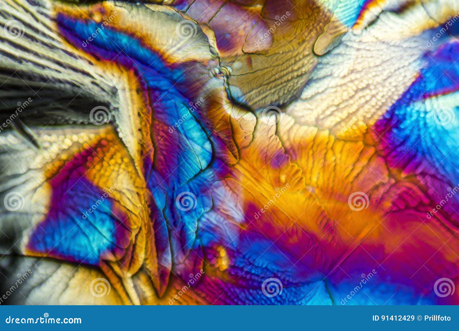 Microscopic Galactose Crystals Stock Image - Image of pattern ...