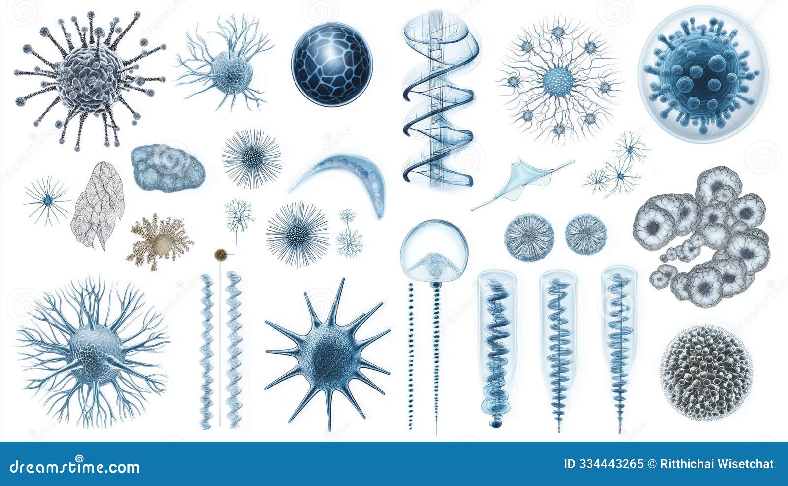 Microscopic Germs and Bacteria in Various Shapes and Sizes Stock ...