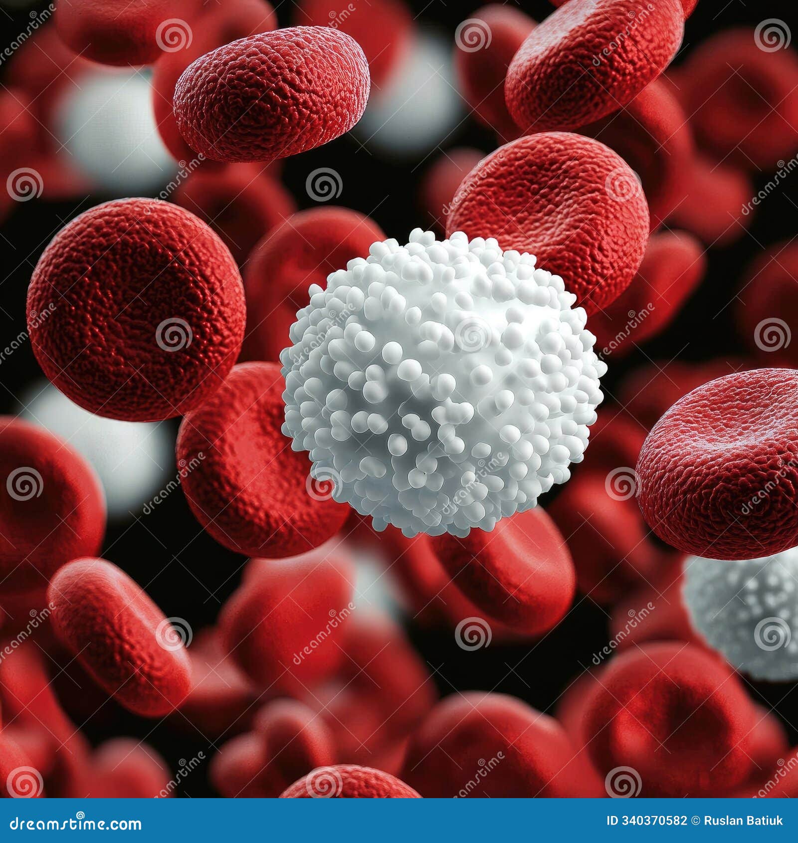 Microscopic Guardians: Leukocytes Magnified Under Microscope, Revealing ...