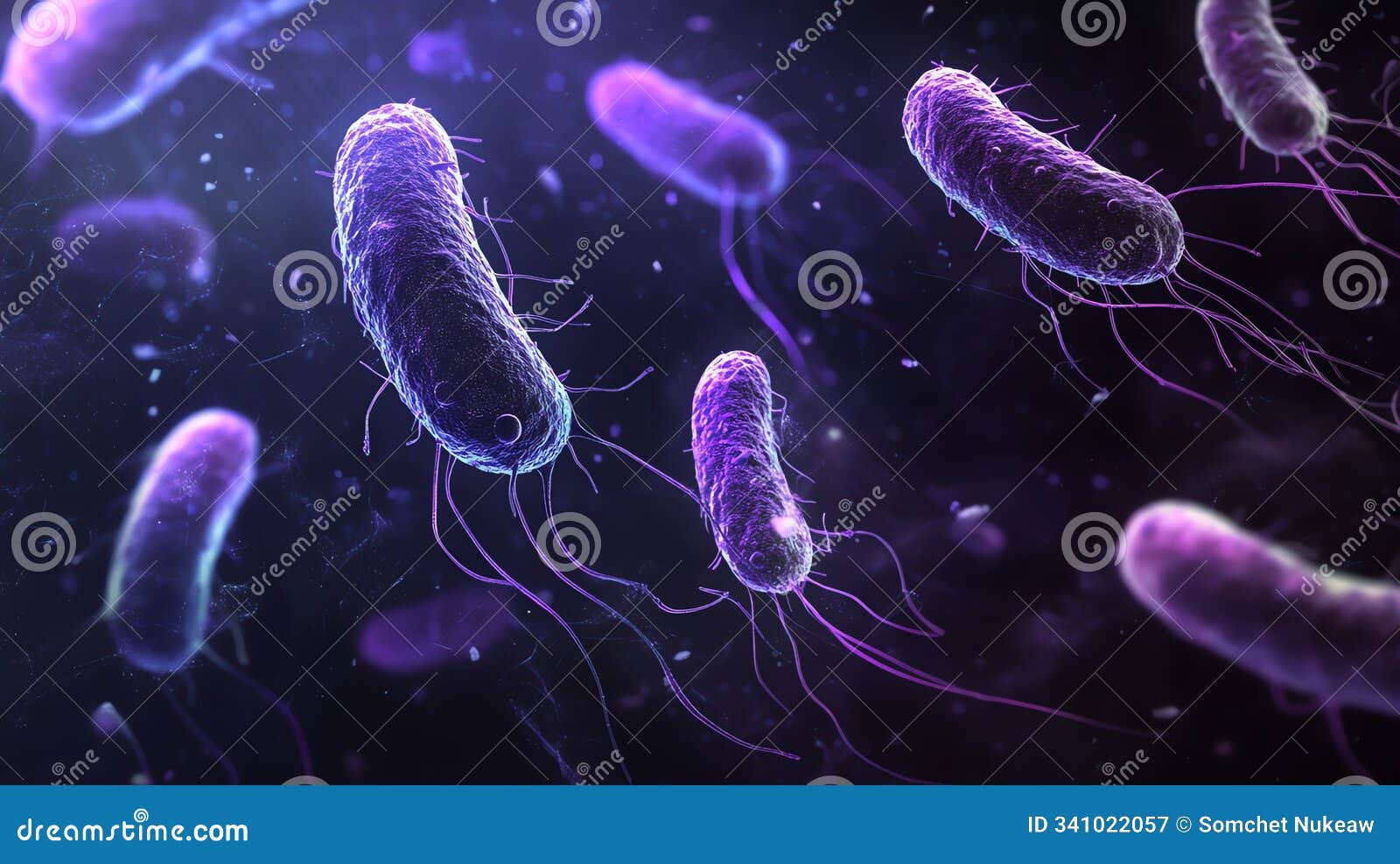 A Microscopic Image of Bacteria Swimming through a Fluid, with Their ...