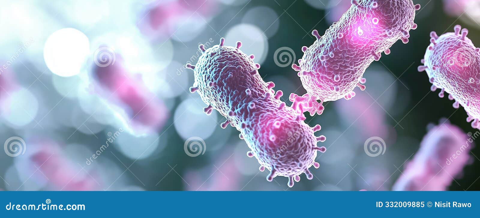 Microscopic Image of Bacterial Cells Dividing, with Clear View of ...