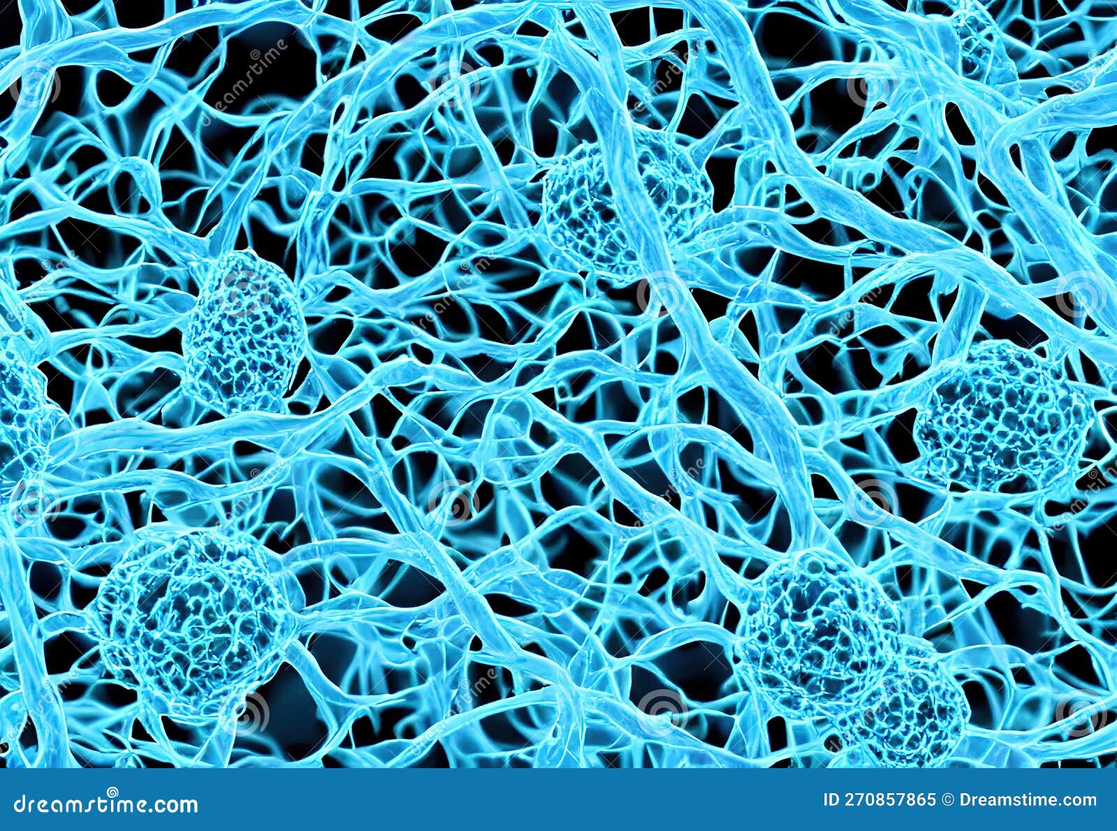 Microscopic Images of Nodes and Nerves System in Biological Condition ...