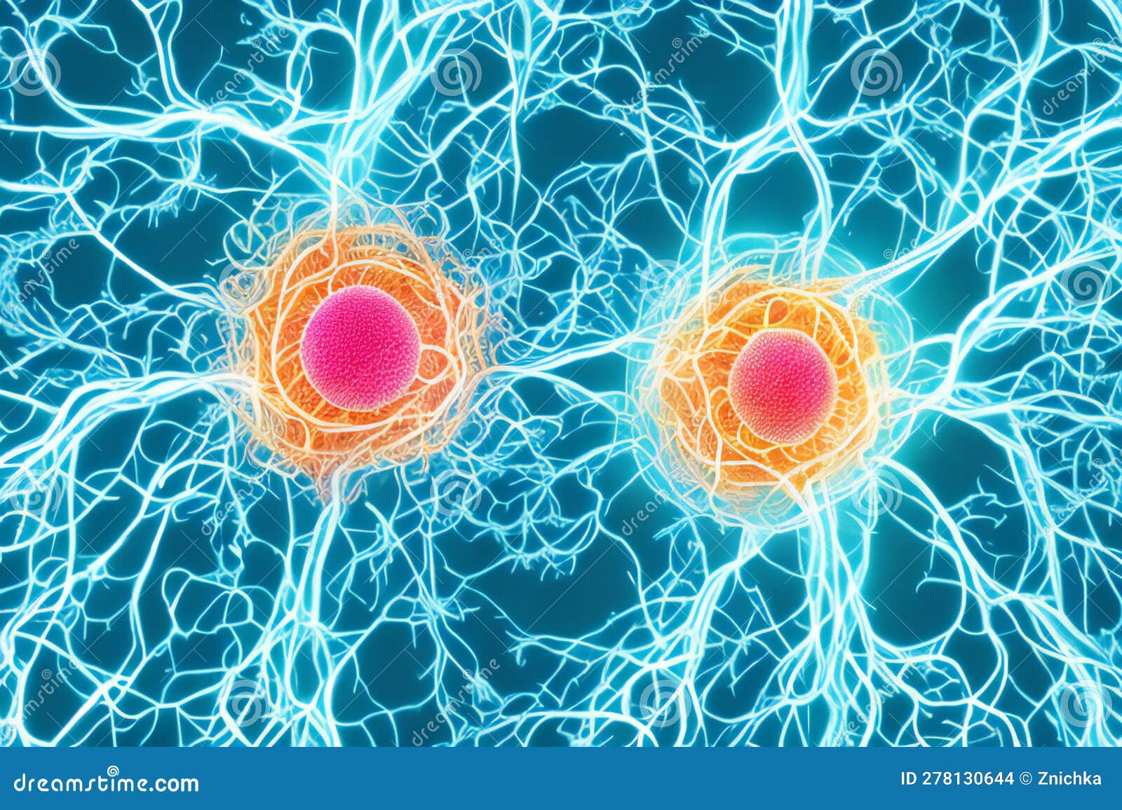 A Microscopic Look at the Intricate Neural Pathways of the Brain Stock ... A Microscopic Look at the Intricate Neural Pathways of the Brain Stock ...