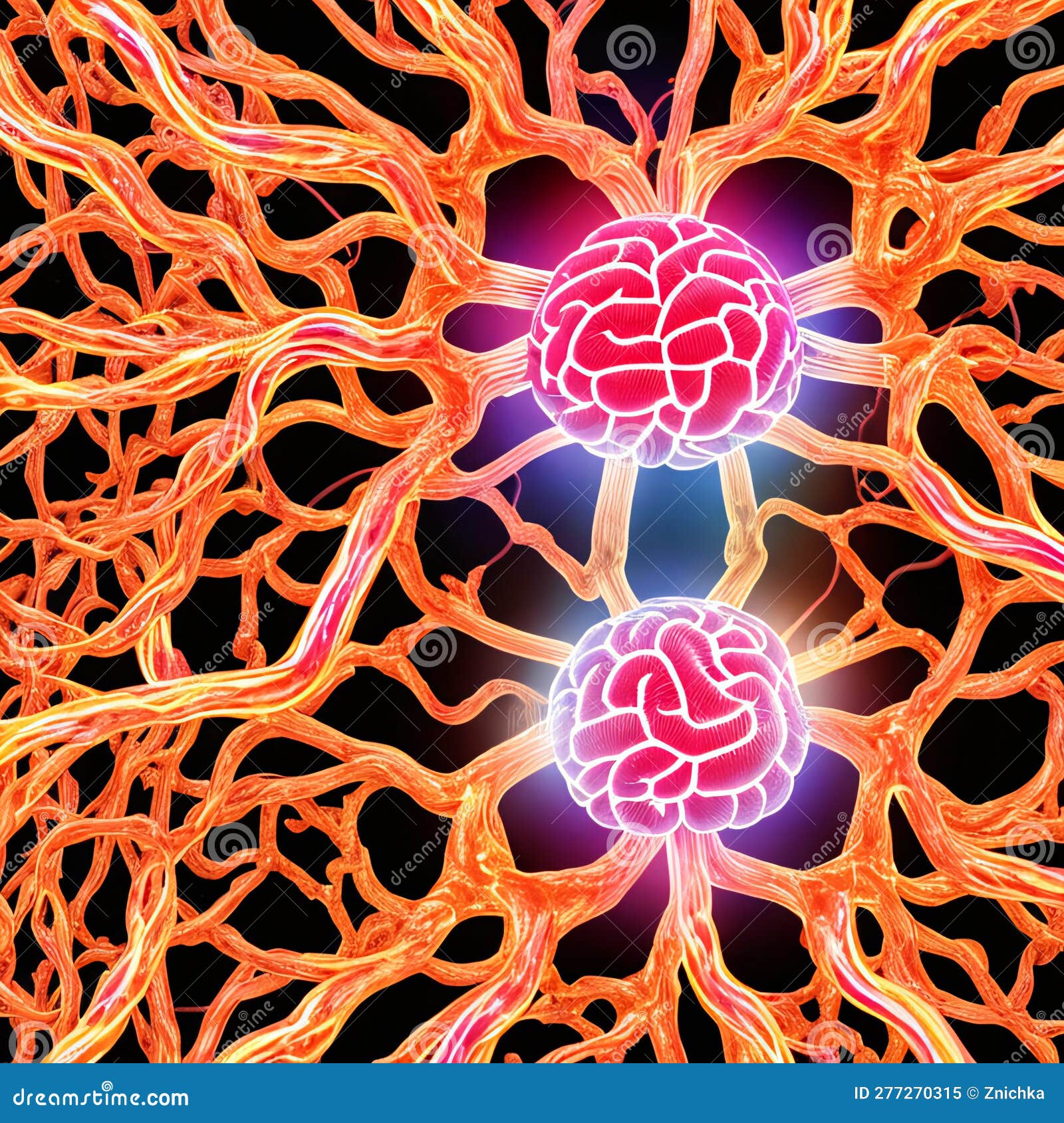 A Microscopic Look At The Intricate Neural Pathways Of The Brain Stock ... A Microscopic Look At The Intricate Neural Pathways Of The Brain Stock ...