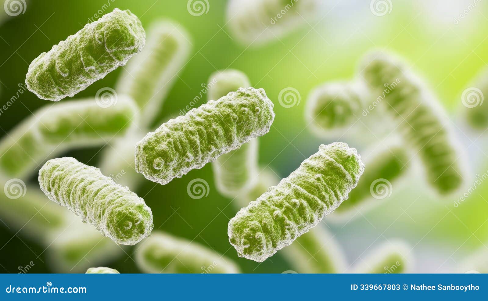 Microscopic Marvel, a Closeup Exploration of Green Bacteria S Structure ...