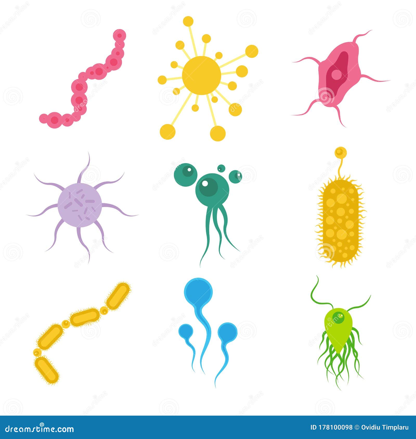 Microscopic Microorganisms Set Vector Illustration Stock Vector ...