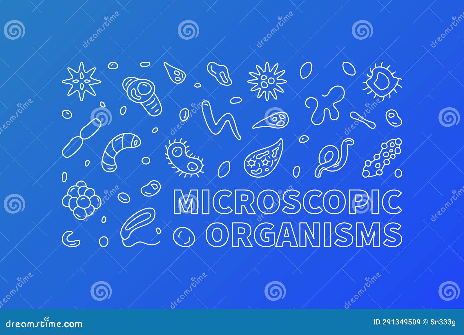 Microscopic Organisms Vector Microbiology Blue Outline Horizontal ...