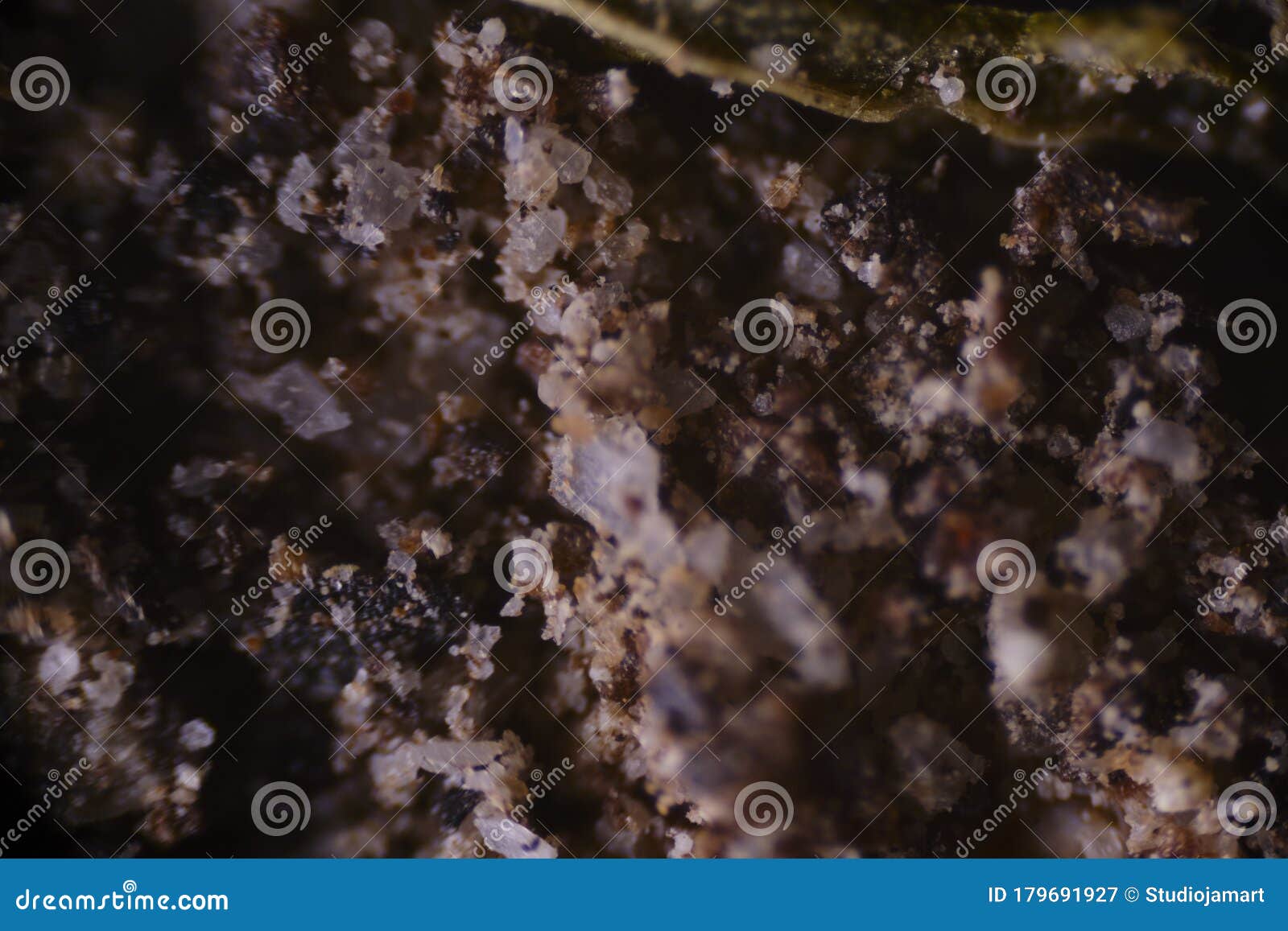 Microscopic Photo of Different Structures Stock Image - Image of ...
