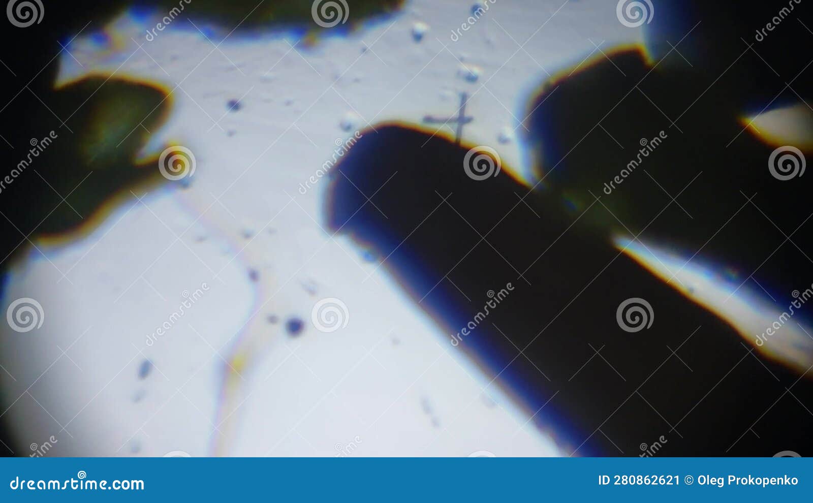 Microscopic Photography of Biological Objects Stock Video - Video of ...