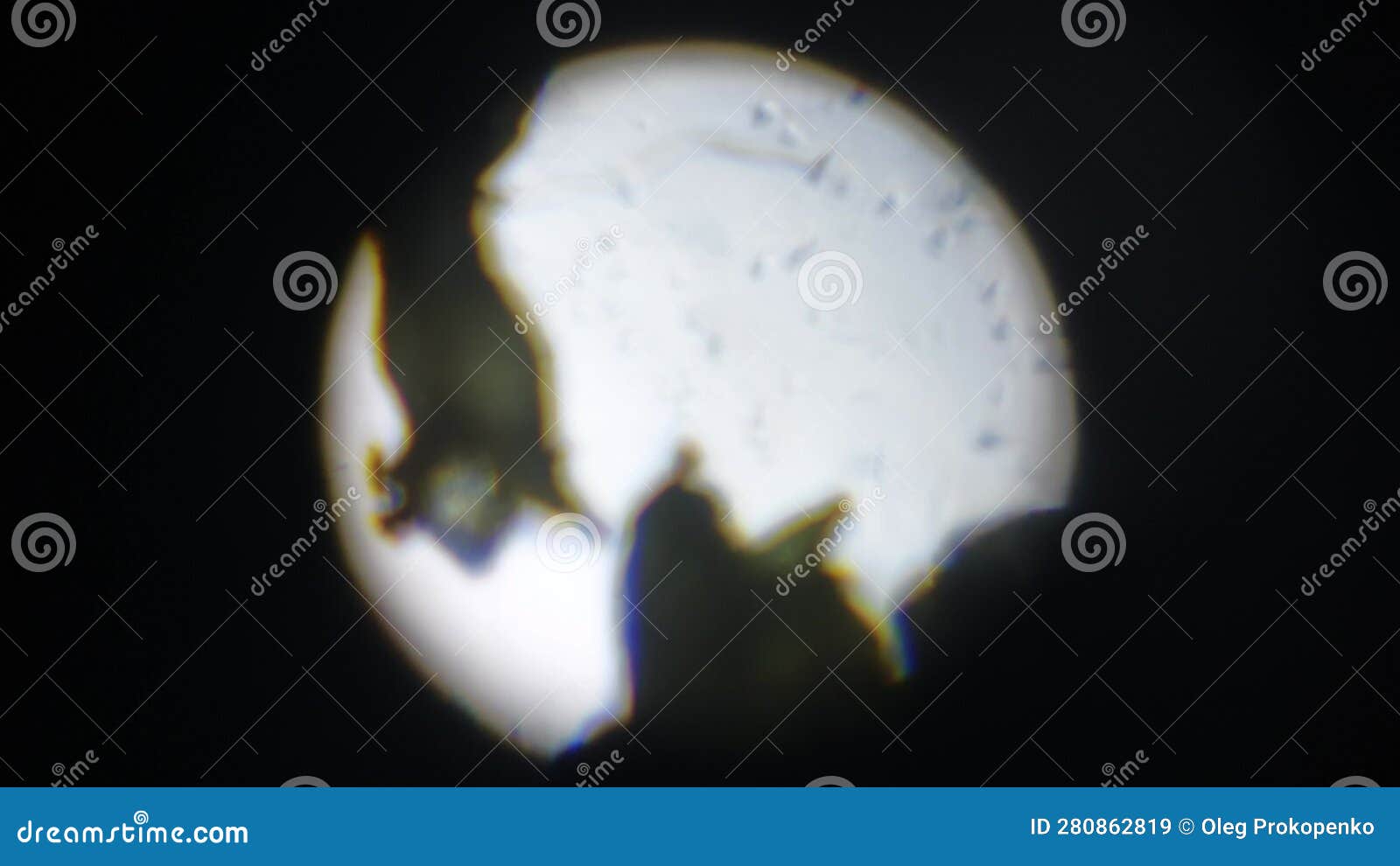 Microscopic Photography of Biological Objects Stock Video - Video of ...