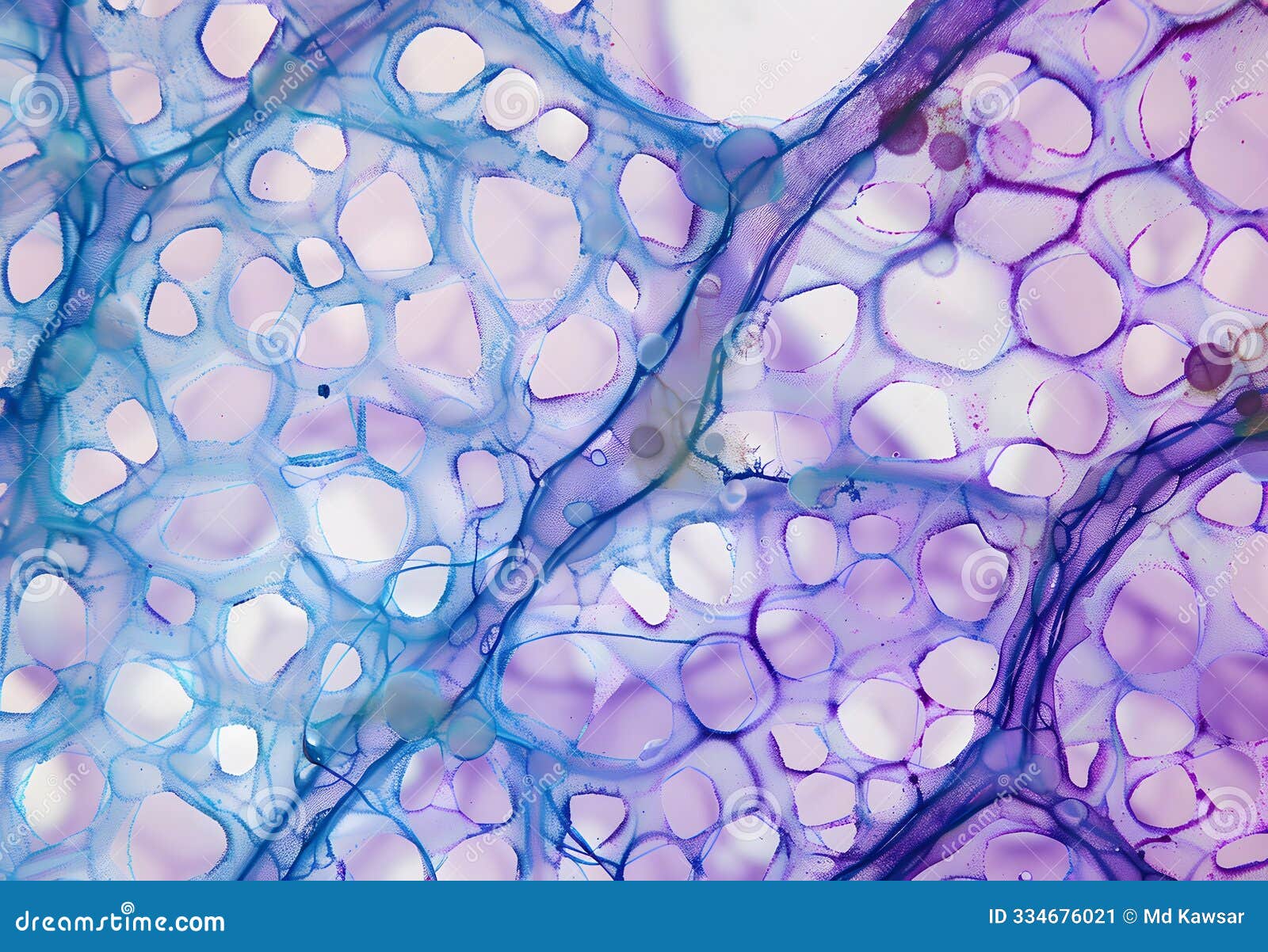Microscopic Plant Cell Structure in Blue and Purple Stock Illustration ...