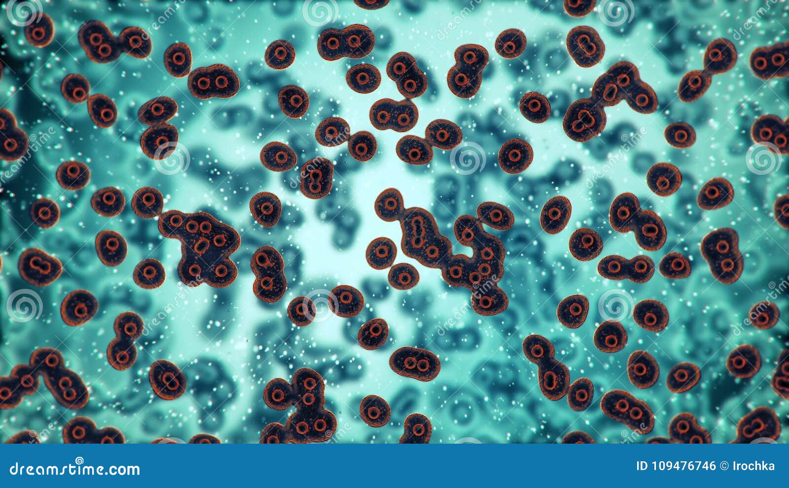 Microscopic Plate of Bacteria Multiplying Themselves 3d Rendering Stock ...