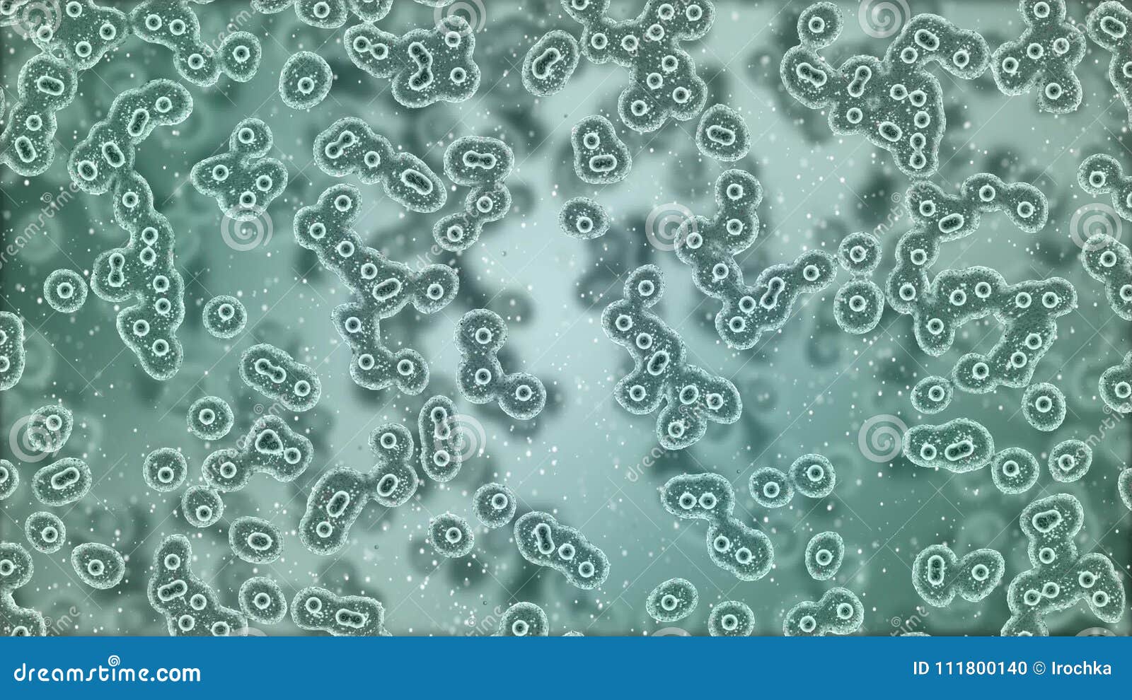 Microscopic Plate of Bacteria Multiplying Themselves 4K Stock Footage ...