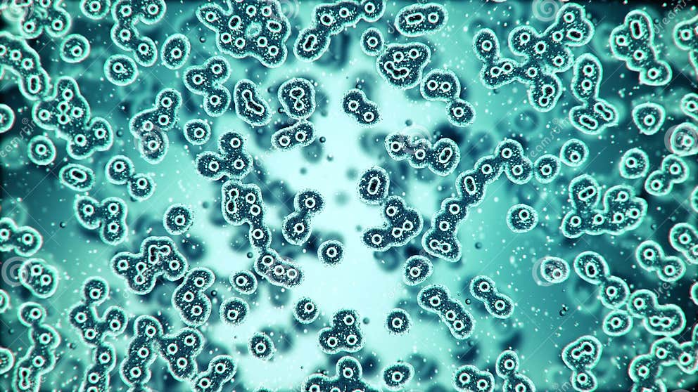 Microscopic Plate of Bacteria Multiplying Themselves Stock Illustration ...