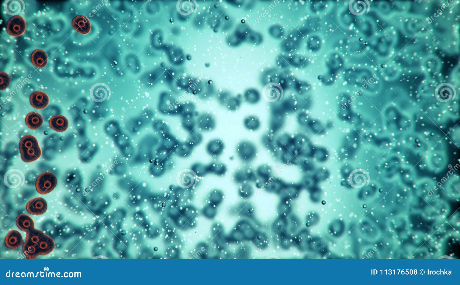 Microscopic Plate of Bacteria Multiplying Themselves Stock Photo ...