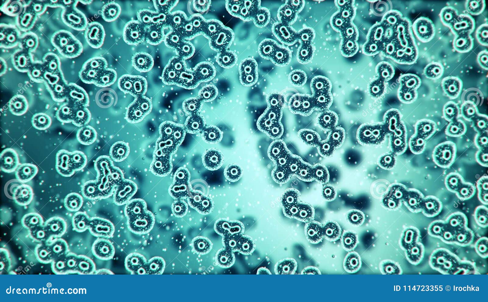 Microscopic Plate of Bacteria Multiplying Themselves Stock Image ...