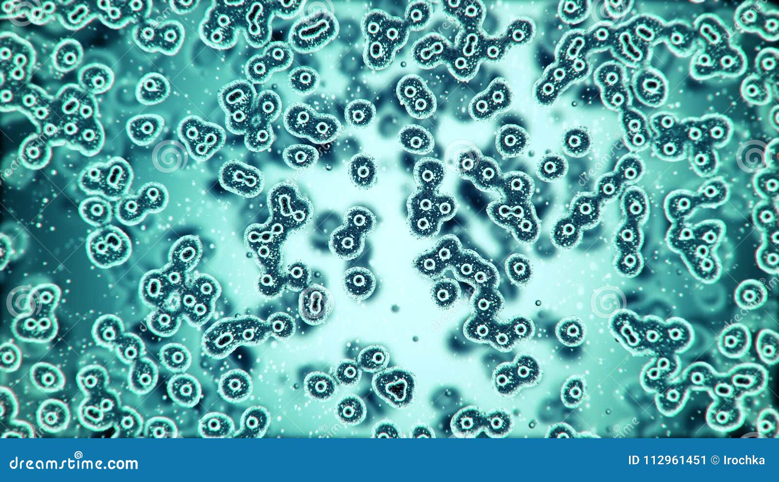 Microscopic Plate of Bacteria Multiplying Themselves Stock Illustration ...