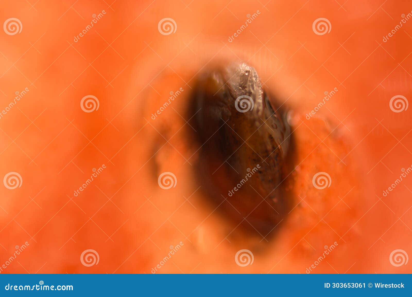 Microscopic Shot of Seed in Watermelon As an Abstract Background Stock ...