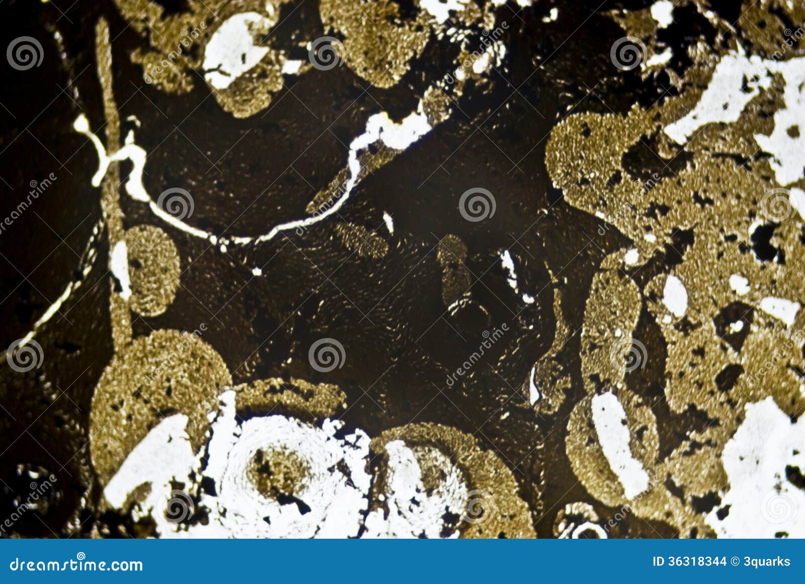 Microscopic soot particles stock photo. Image of shapes - 36318344